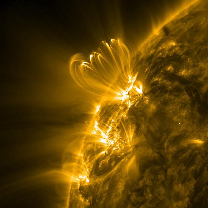 Coronal Loops [IMAGE] | EurekAlert! Science News Releases