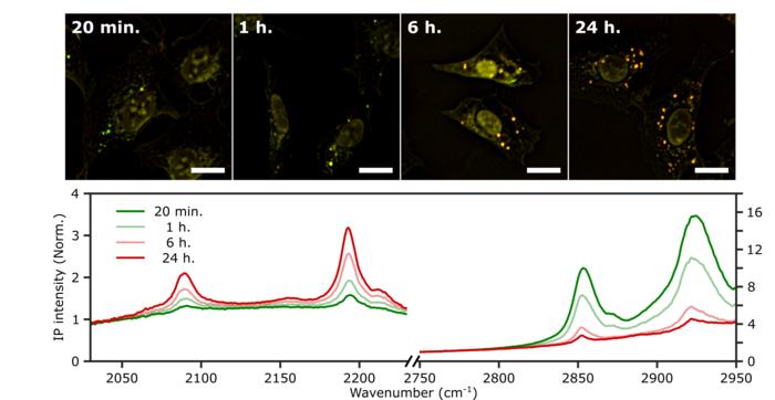Figure 3 [image] Eurekalert Science News Releases
