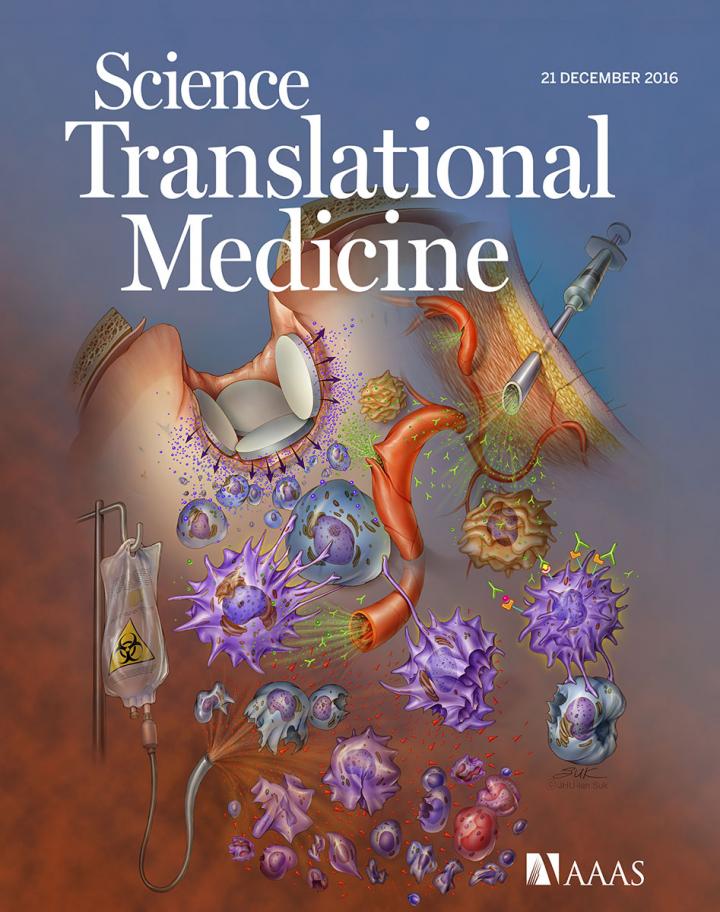 Journal Cover [IMAGE] | EurekAlert! Science News Releases