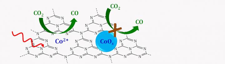 Schematic of Cobalt Ion CO2 Re [IMAGE] | EurekAlert! Science News Releases