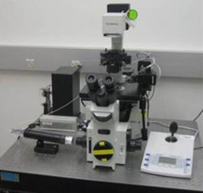 Micromanipulation Equipment [IMAGE] | EurekAlert! Science News Releases