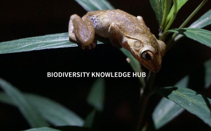 The Biodiversity Knowledge Hub [IMAGE] | EurekAlert! Science News Releases
