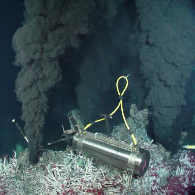 'Good vibrations' from deep-sea smokers may k | EurekAlert!