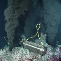 'Good vibrations' from deep-sea smokers may k | EurekAlert!