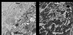 HKU scientists develop AI-driven method to en | EurekAlert!