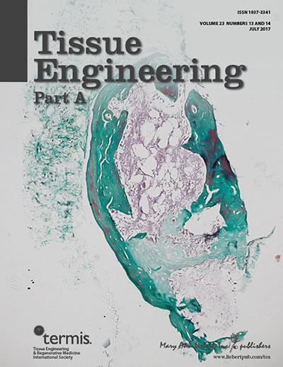 Stanford researchers engineer 3-D hydrogels f | EurekAlert!