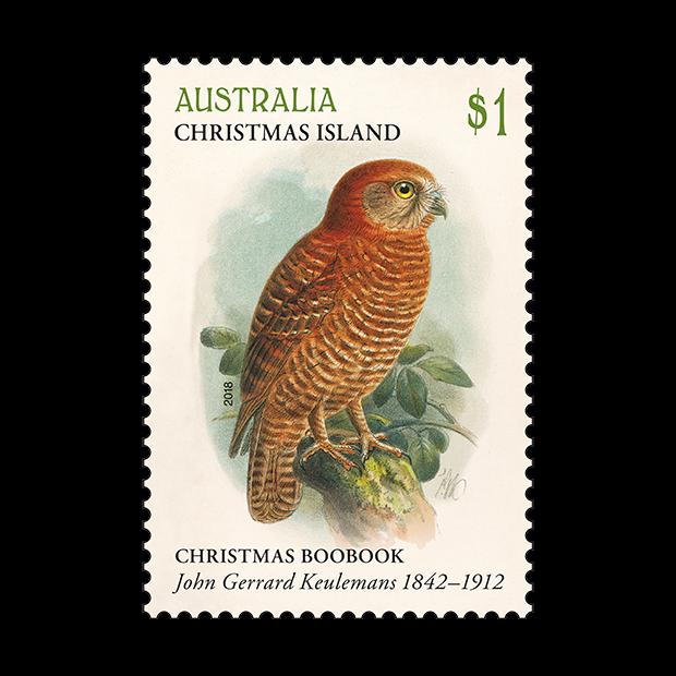 Christmas Boobook [IMAGE] | EurekAlert! Science News Releases