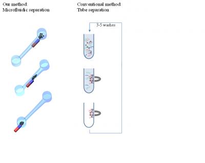 New technology for bioseparation | EurekAlert!