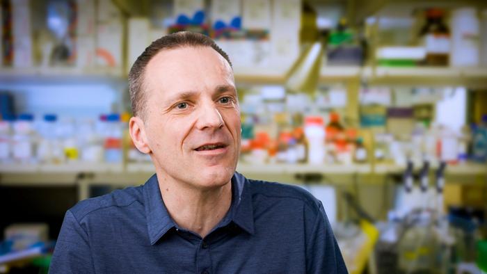 Matthias Stephan [IMAGE] | EurekAlert! Science News Releases