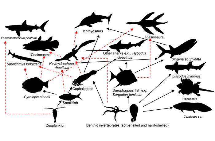Fig 3 [IMAGE] | EurekAlert! Science News Releases