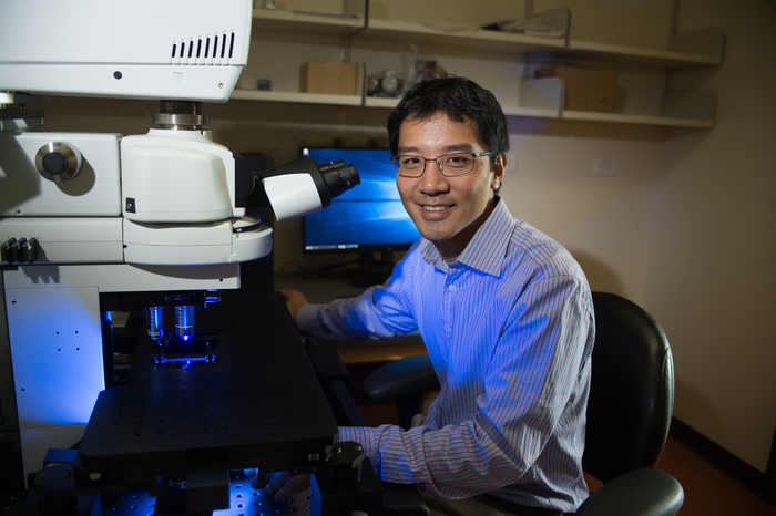 Neurobiology [IMAGE] | EurekAlert! Science News Releases