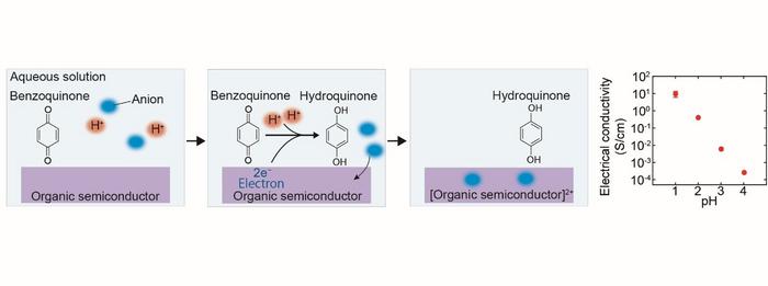 Chemical doping of organic sem [IMAGE] | EurekAlert! Science News Releases