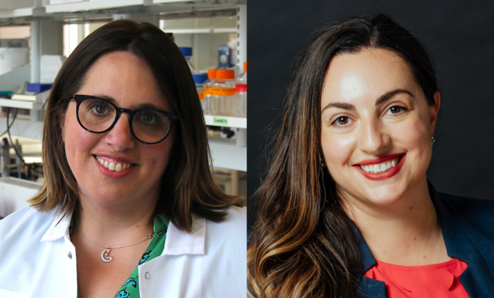 Virginia Tech, Temple University scientists a | EurekAlert!