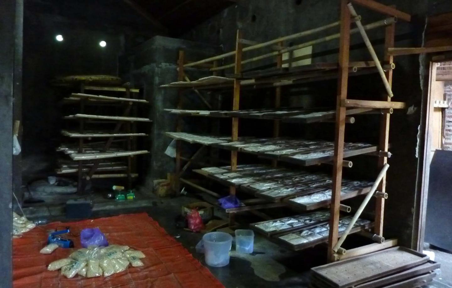 Tempe Fermentation in Yogyakar [IMAGE] | EurekAlert! Science News Releases