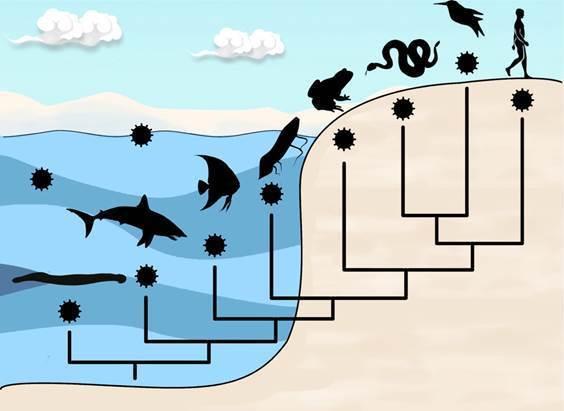 Ancient origins of viruses discovered | EurekAlert!