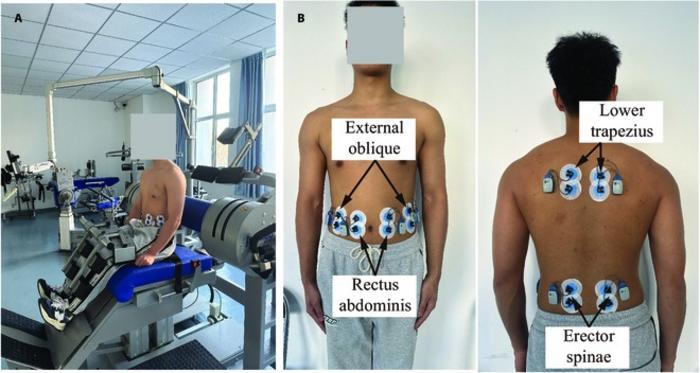 Simultaneous measurement of is [IMAGE] | EurekAlert! Science News Releases