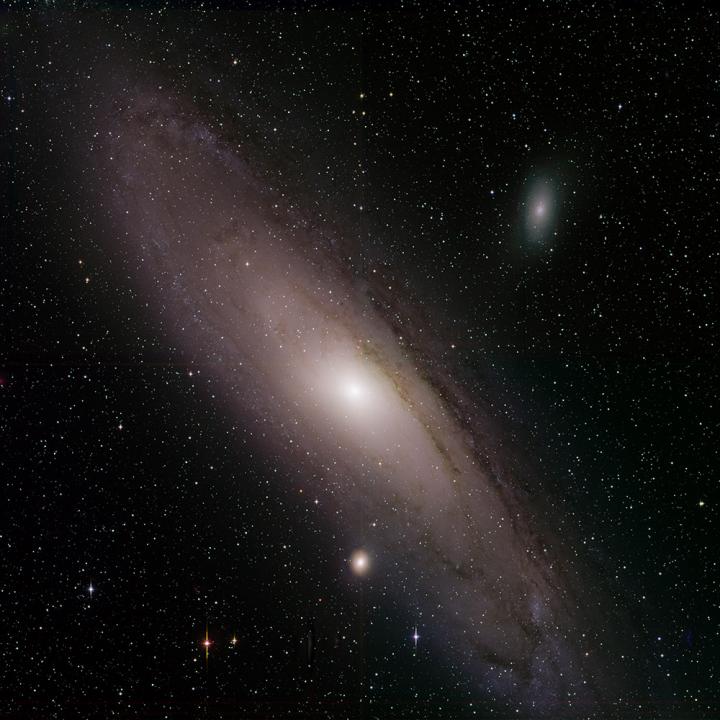 ZTF's View of Andromeda [IMAGE] | EurekAlert! Science News Releases
