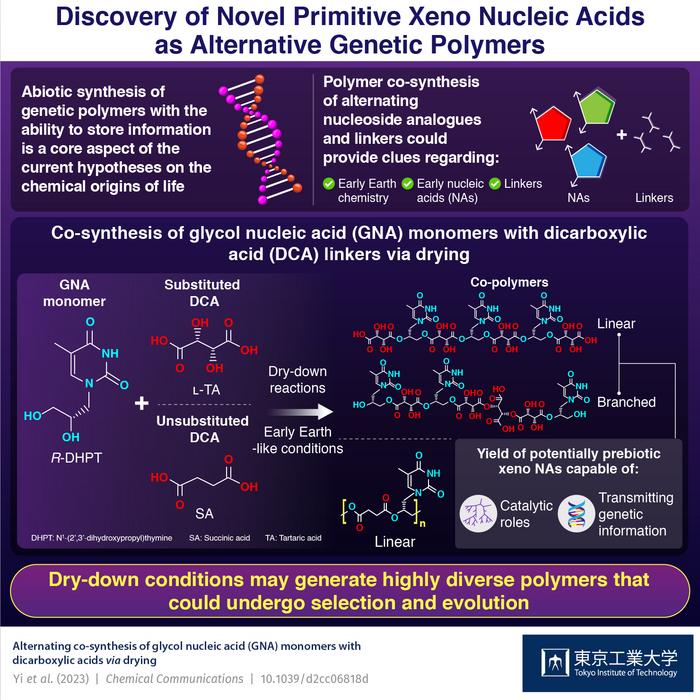 Nucleic Acid Polymer