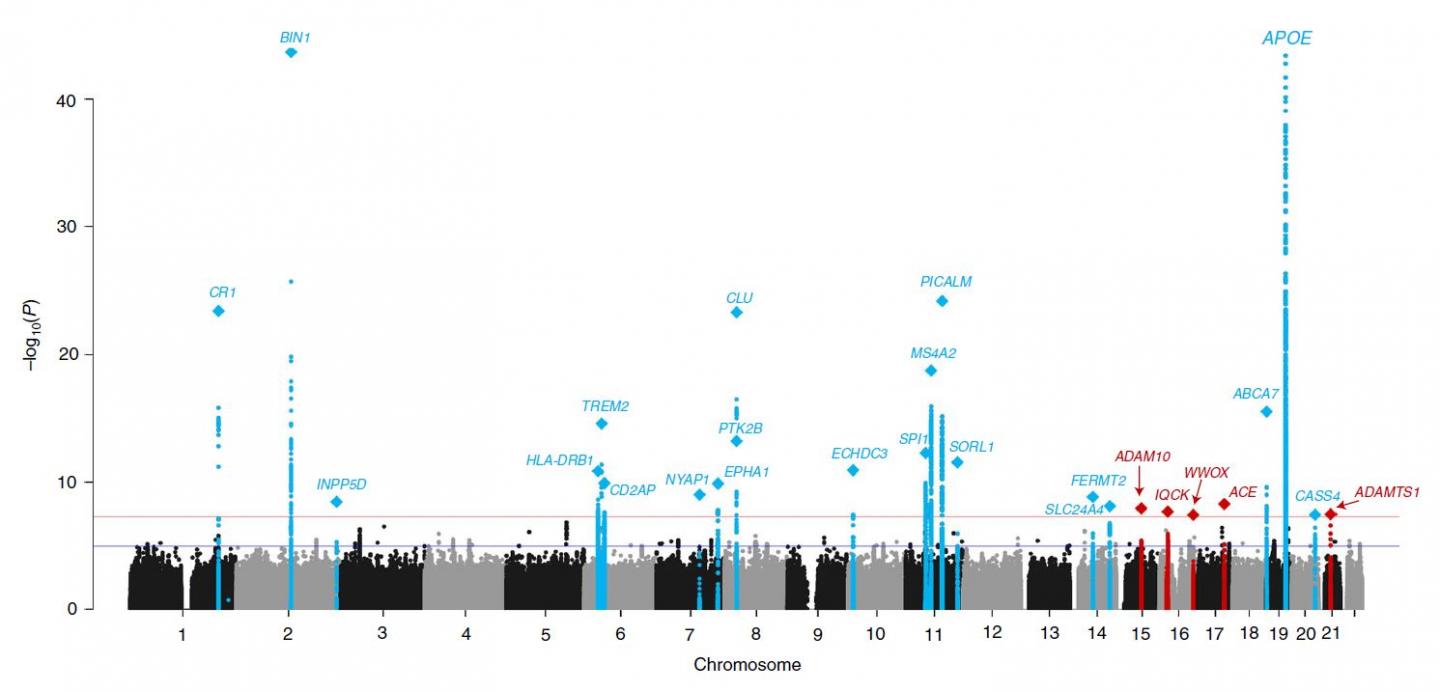 Manhattan Plot of Alzheimer's [IMAGE] | EurekAlert! Science News Releases