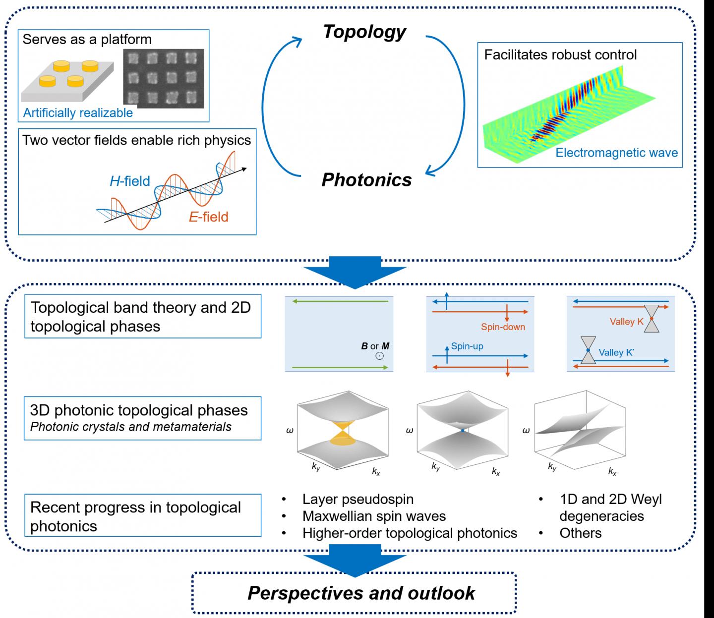 Schematic Overview of the Revi [IMAGE] | EurekAlert! Science News Releases