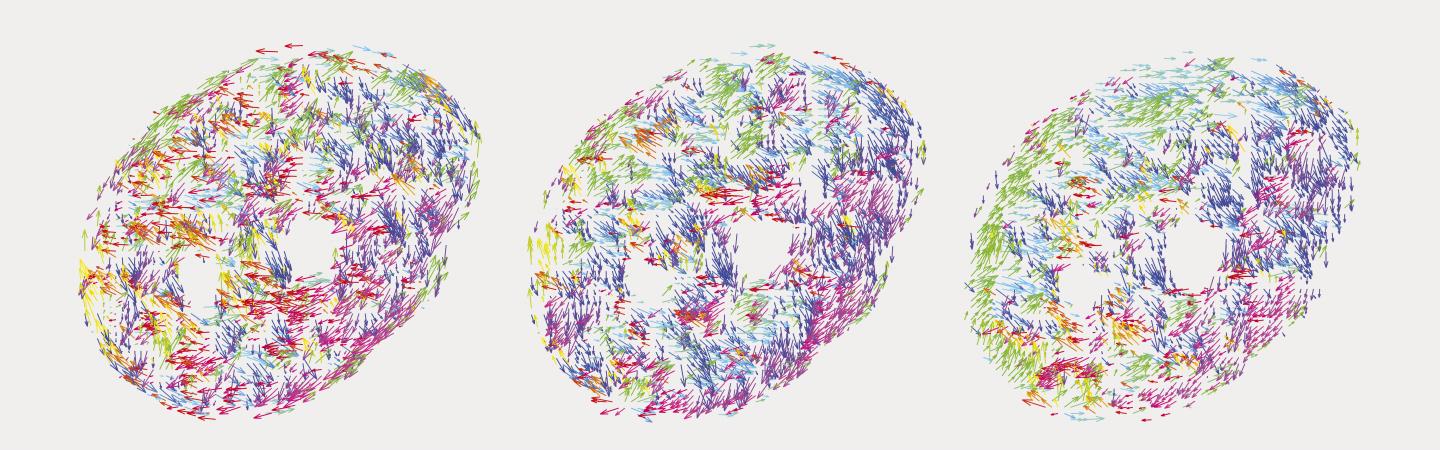 Chromatin Motion Measurements [IMAGE] | EurekAlert! Science News Releases