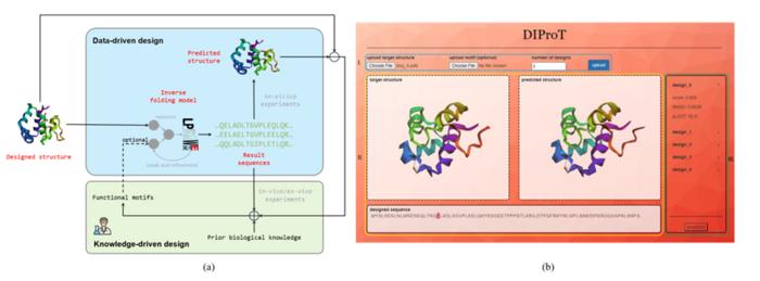 OVERVIEW OF HOW DIPROT WORKS [IMAGE] | EurekAlert! Science News Releases