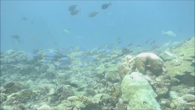 Special Issue: Ocean Climate Change (11 of 21 | EurekAlert!