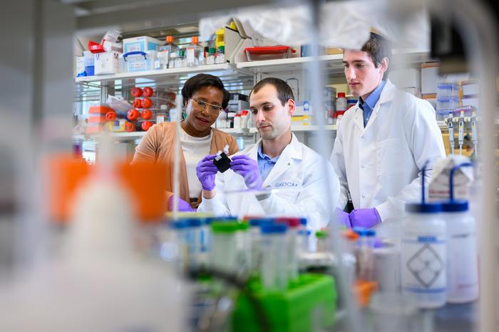 MIT researchers [IMAGE] | EurekAlert! Science News Releases