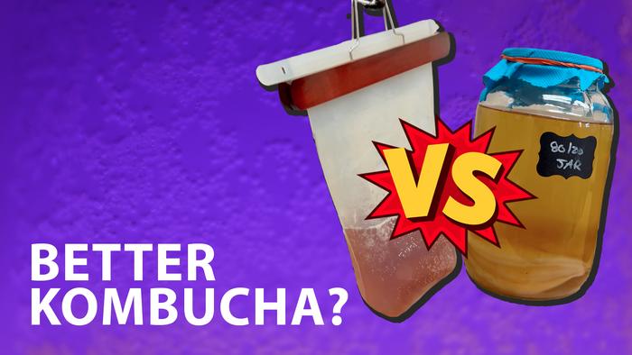 Better kombucha brewing throug [IMAGE] | EurekAlert! Science News Releases