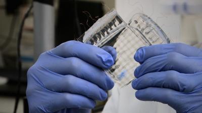 Super-Stretchy Skin-Like Senso [IMAGE] | EurekAlert! Science News Releases