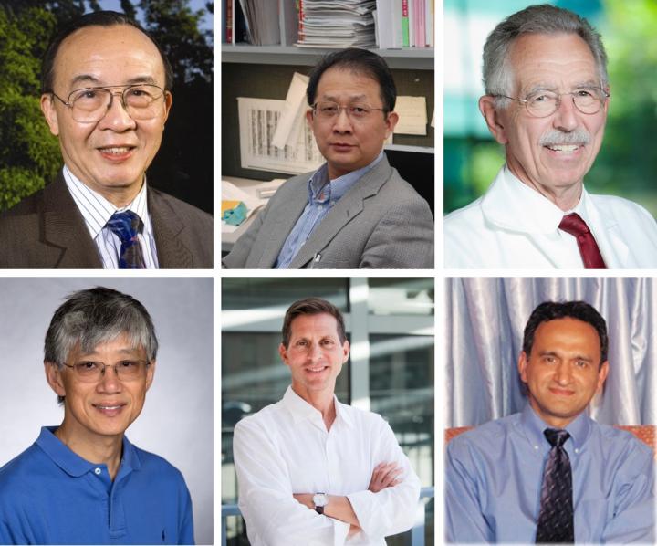 UC San Diego AAAS Fellows 2015 [IMAGE] | EurekAlert! Science News Releases