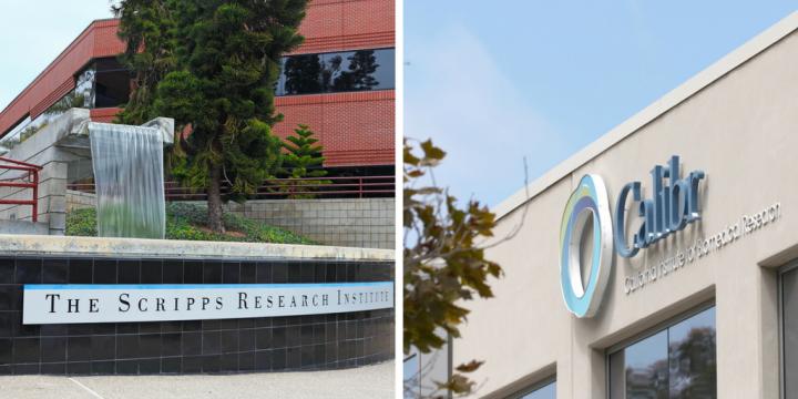 TSRI and Calibr [IMAGE] | EurekAlert! Science News Releases