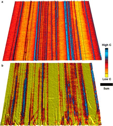 MIM Imaging of SWNT Array [IMAGE] | EurekAlert! Science News Releases