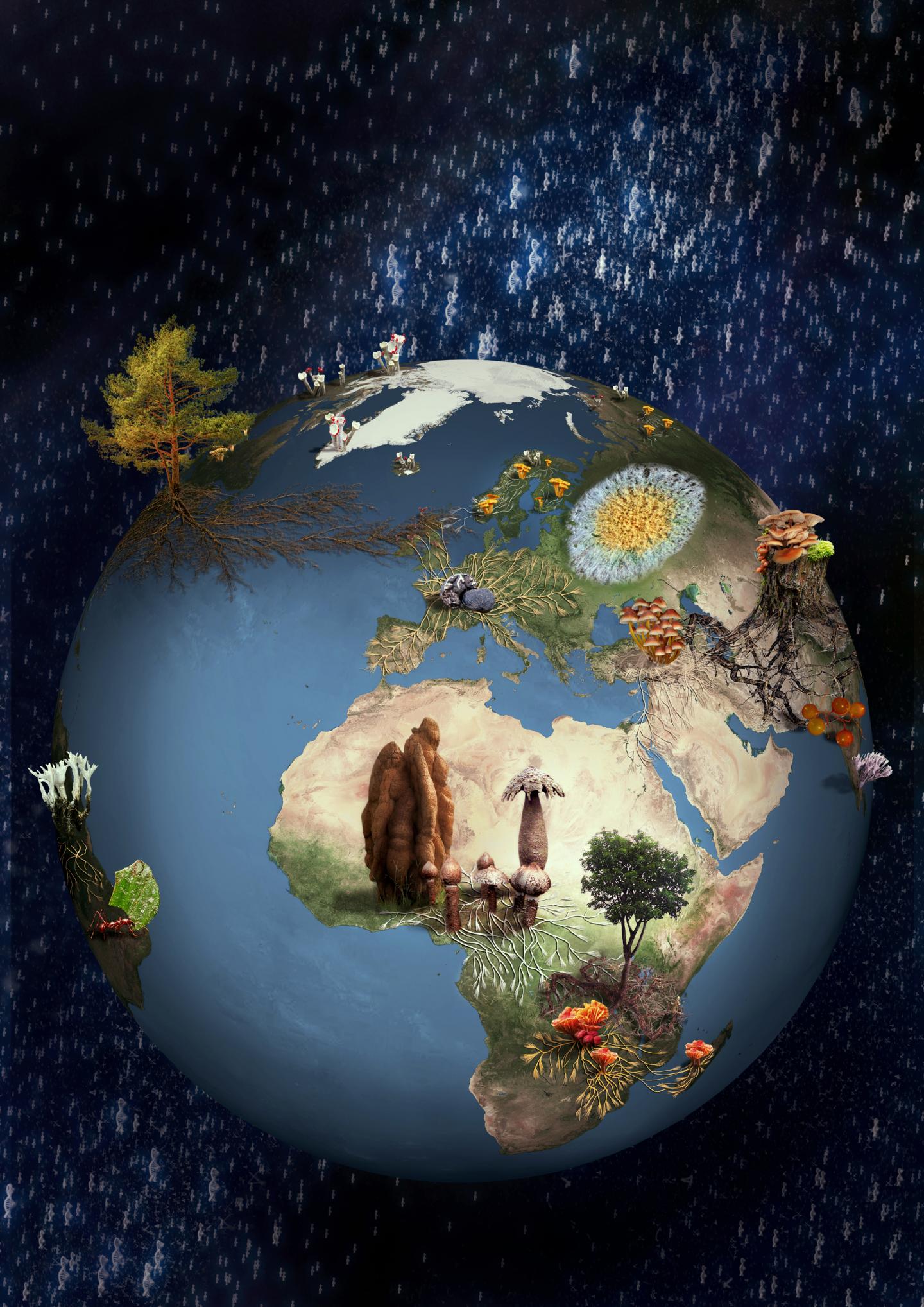 A Long-Sought Look at the Fungus Among Us (1 | EurekAlert!