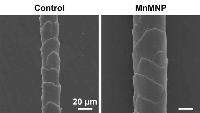 AI helps researchers design microneedle patch | EurekAlert!