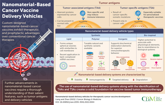 Nanomaterial-based vaccine del [IMAGE] | EurekAlert! Science News Releases