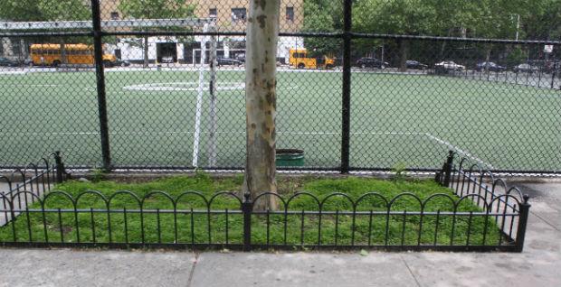 NYC Tree Guard [IMAGE] | EurekAlert! Science News Releases