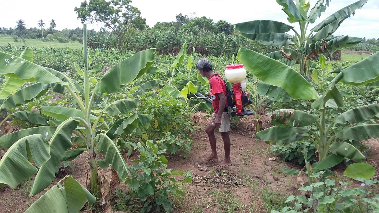 Crop Spraying [IMAGE] | EurekAlert! Science News Releases