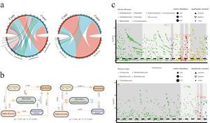 Characterization of microbial structure and f | EurekAlert!