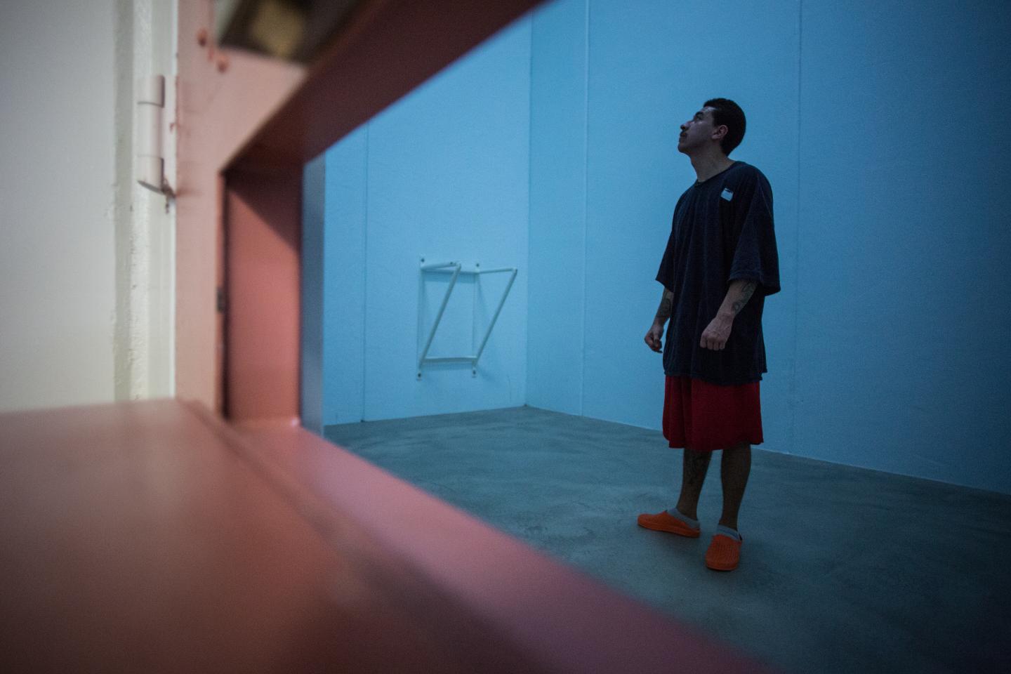 An Inmate in the Blue Room [IMAGE] | EurekAlert! Science News Releases