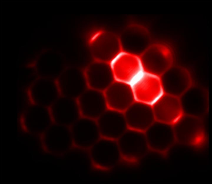 Laser-Lit Array [IMAGE] | EurekAlert! Science News Releases