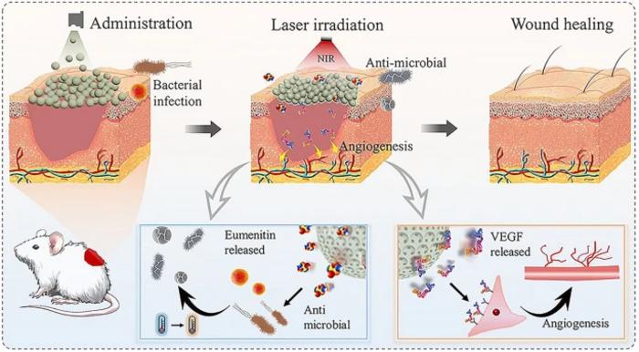 TOC abstract [IMAGE] | EurekAlert! Science News Releases