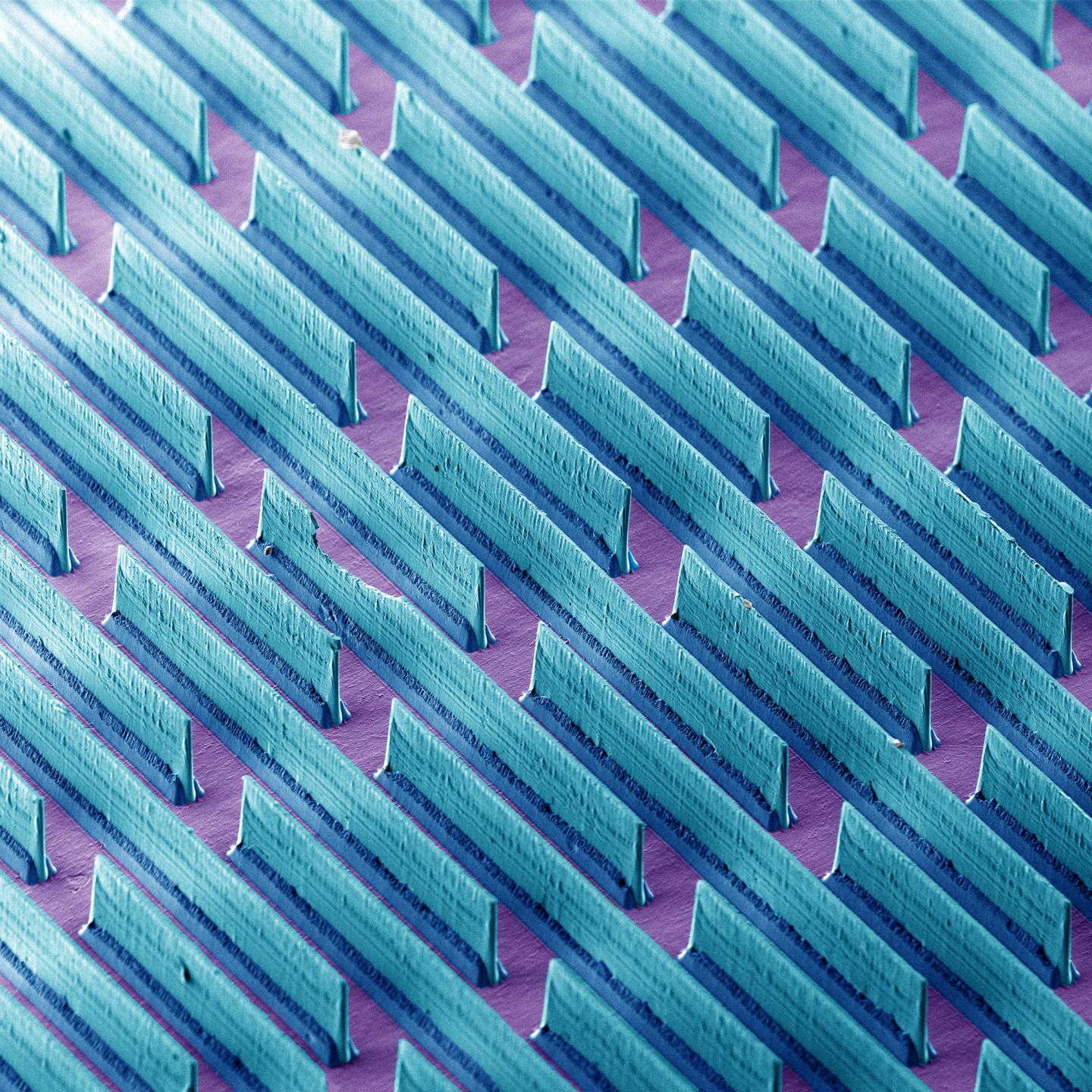 Gecko adhesion technology moves closer to ind | EurekAlert!