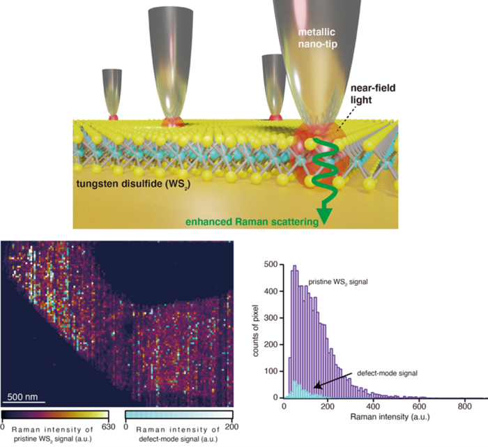Towards stable, sustained Raman imaging of la | EurekAlert!