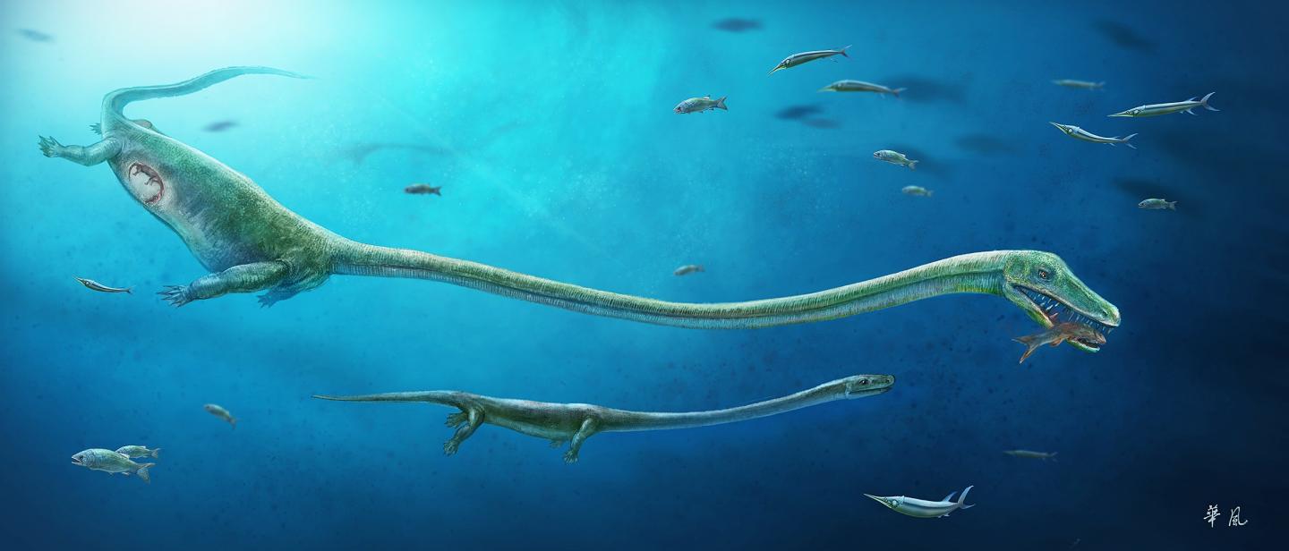 Reconstruction of Dinocephalos [IMAGE] | EurekAlert! Science News Releases