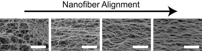nanofibers [IMAGE] | EurekAlert! Science News Releases
