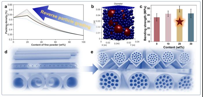 Illustration of concept of rev [IMAGE] | EurekAlert! Science News Releases