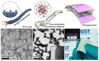 Biotemplated Nanogenerator [IMAGE] | EurekAlert! Science News Releases