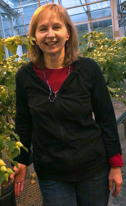 Joyce Van Eck [IMAGE] | EurekAlert! Science News Releases