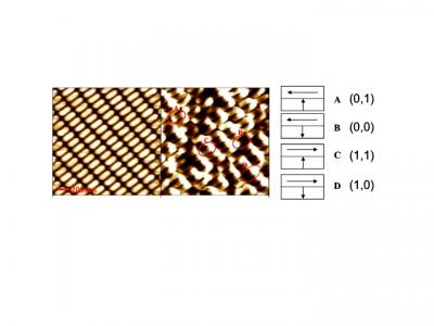 Microscopy Images of 2-bit-per [IMAGE] | EurekAlert! Science News Releases